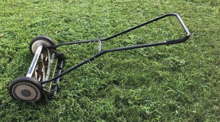 The 8 Best Rotary Lawn Mowers | Smart Garden Gadgets